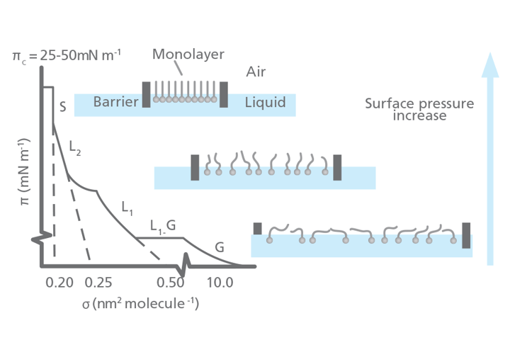 What is surface pressure - area isotherm?